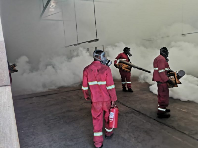 Our Gallery | Pest Control Companies | Fumigation Internal Africa